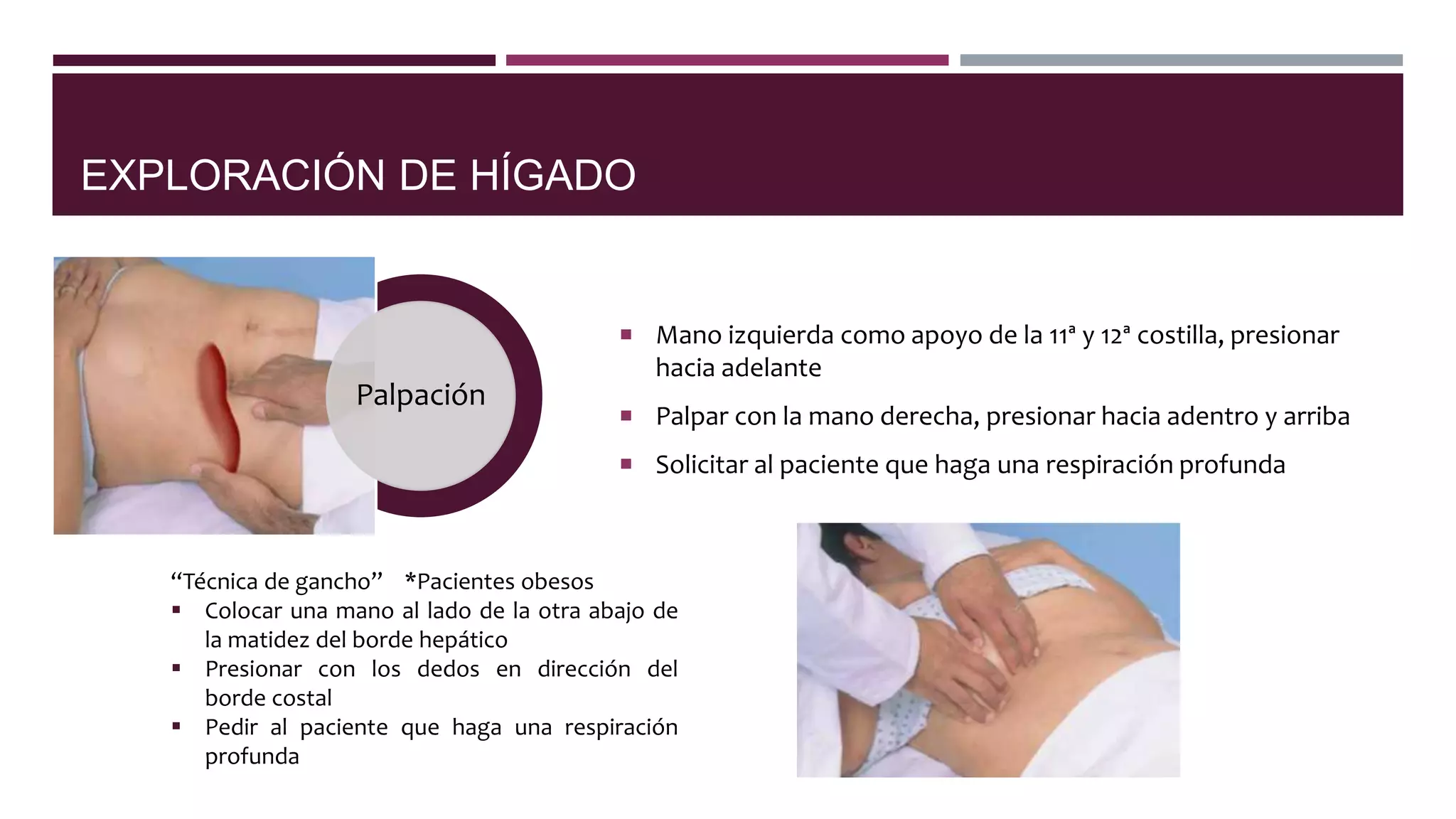 Exploración de abdomen | PPTX