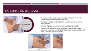 Exploración de abdomen | PPTX