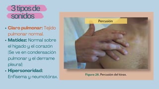 Exploraciòn de aparato respiratorio..pdf