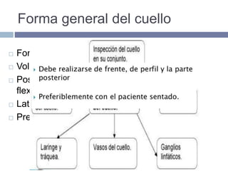 Exploración de cuello! | PPTX