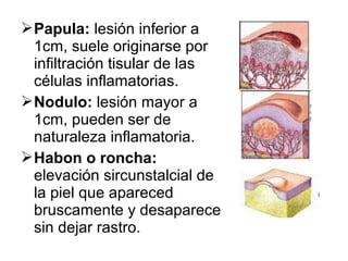 Exploración de la capa, piel y sistema LINFATICO | PPT