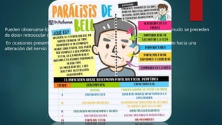 EXPLORACIÓN DEL NERVIO FACIAL VII.pptx