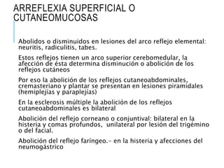 Exploración de los reflejos.ppt