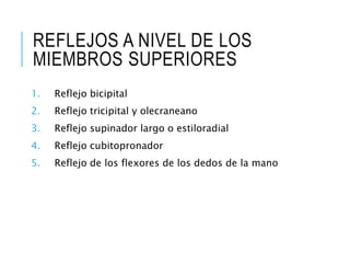 Exploración de los reflejos.ppt