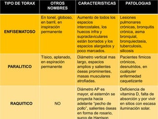 Exploración del tórax | PPTX