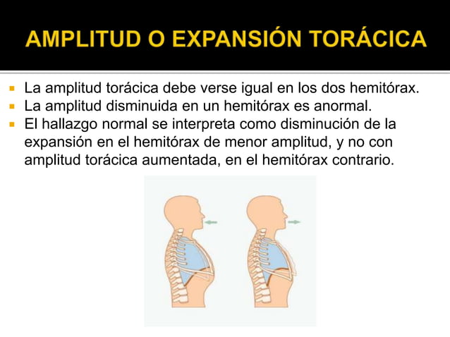Exploración del tórax
