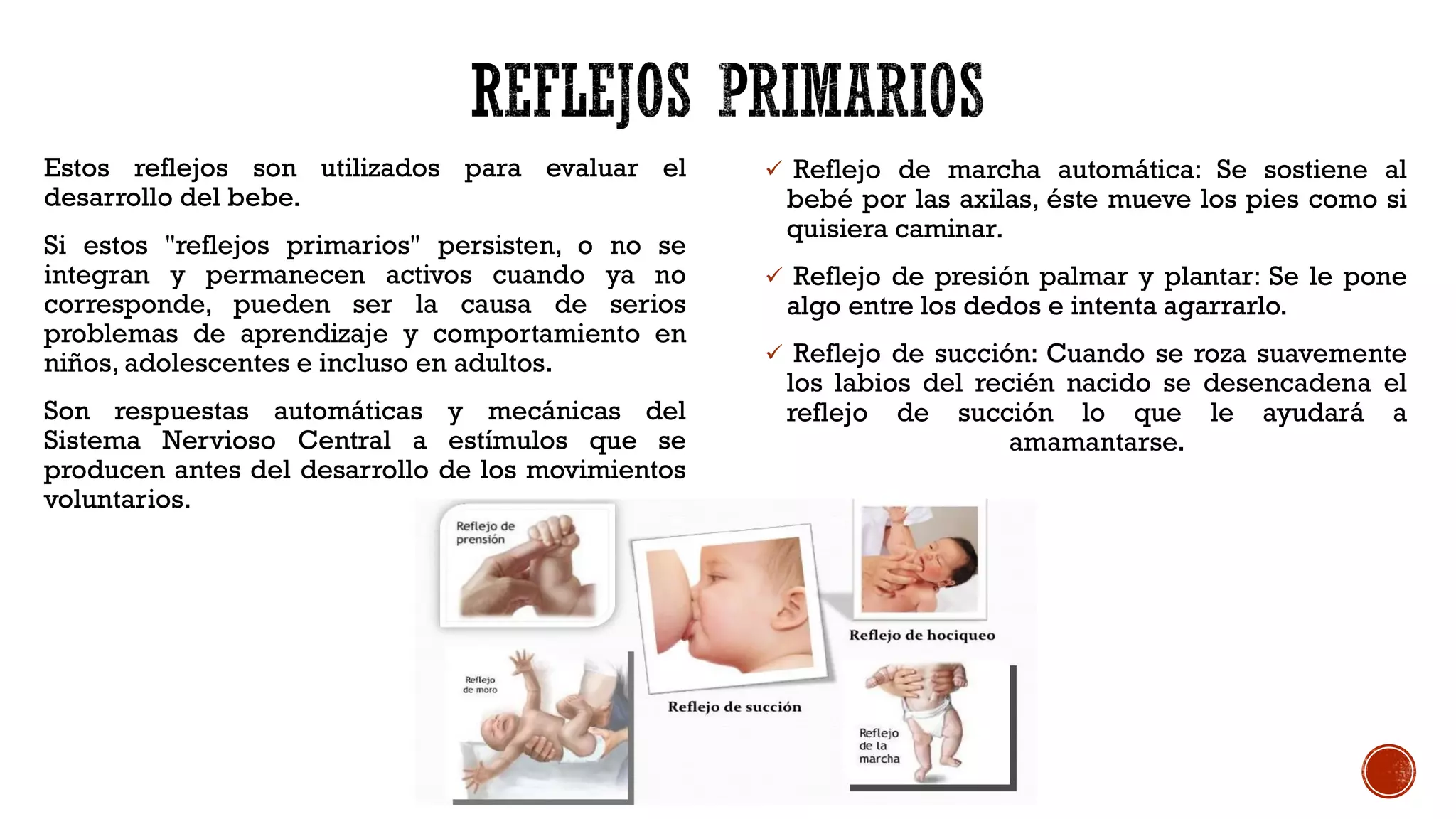 EXPLORACIÓN DE REFLEJOS. EXPO.pdf