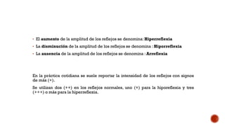 EXPLORACIÓN DE REFLEJOS. EXPO.pdf