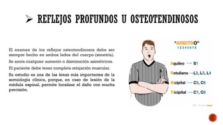 EXPLORACIÓN DE REFLEJOS. EXPO.pdf
