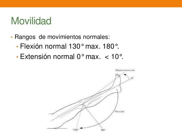 Exploración de rodilla
