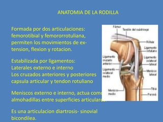 exploración de rodilla.pptx