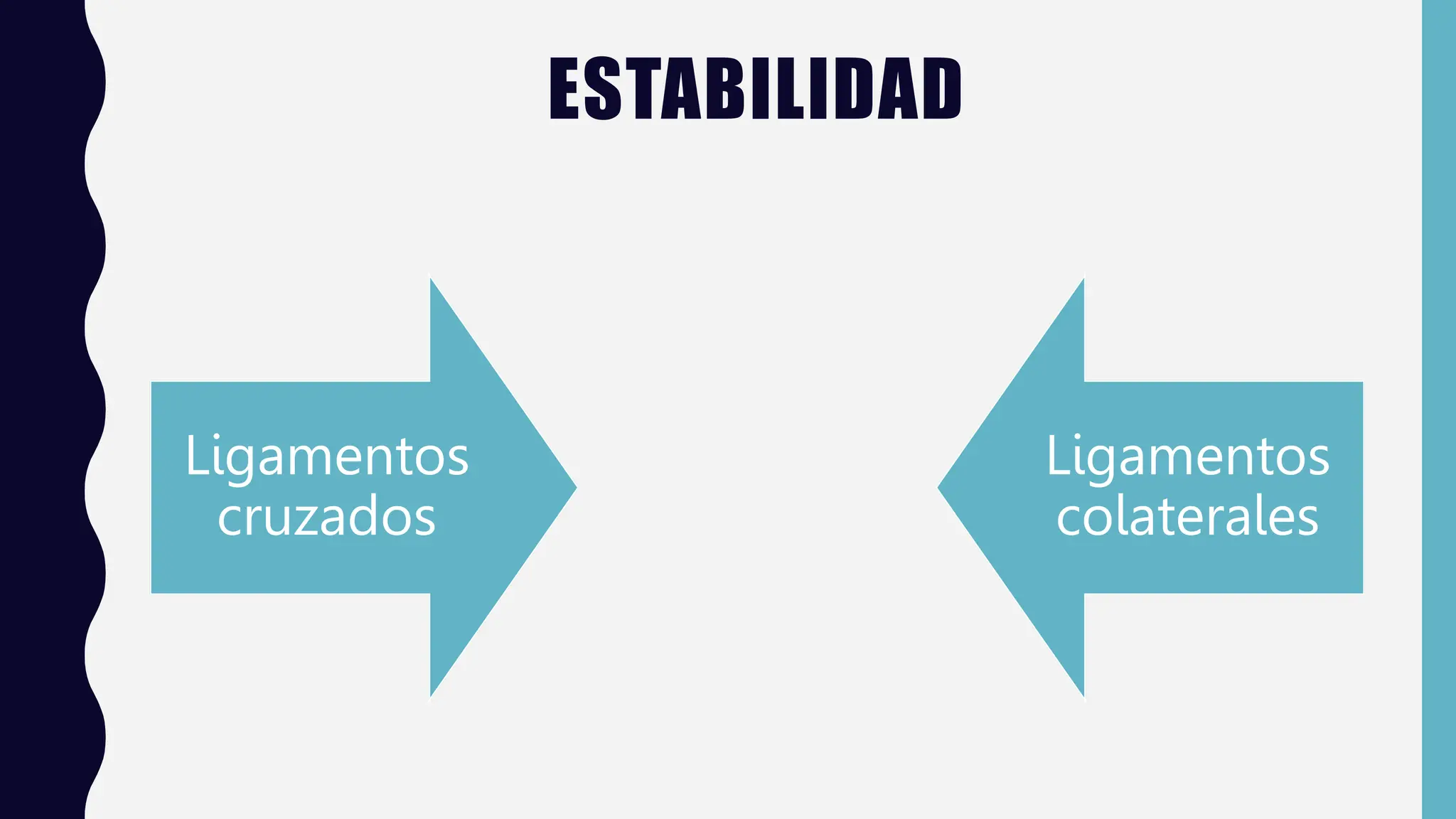EXPLORACIÓN DE RODILLA, clinica y anatomica | PPT
