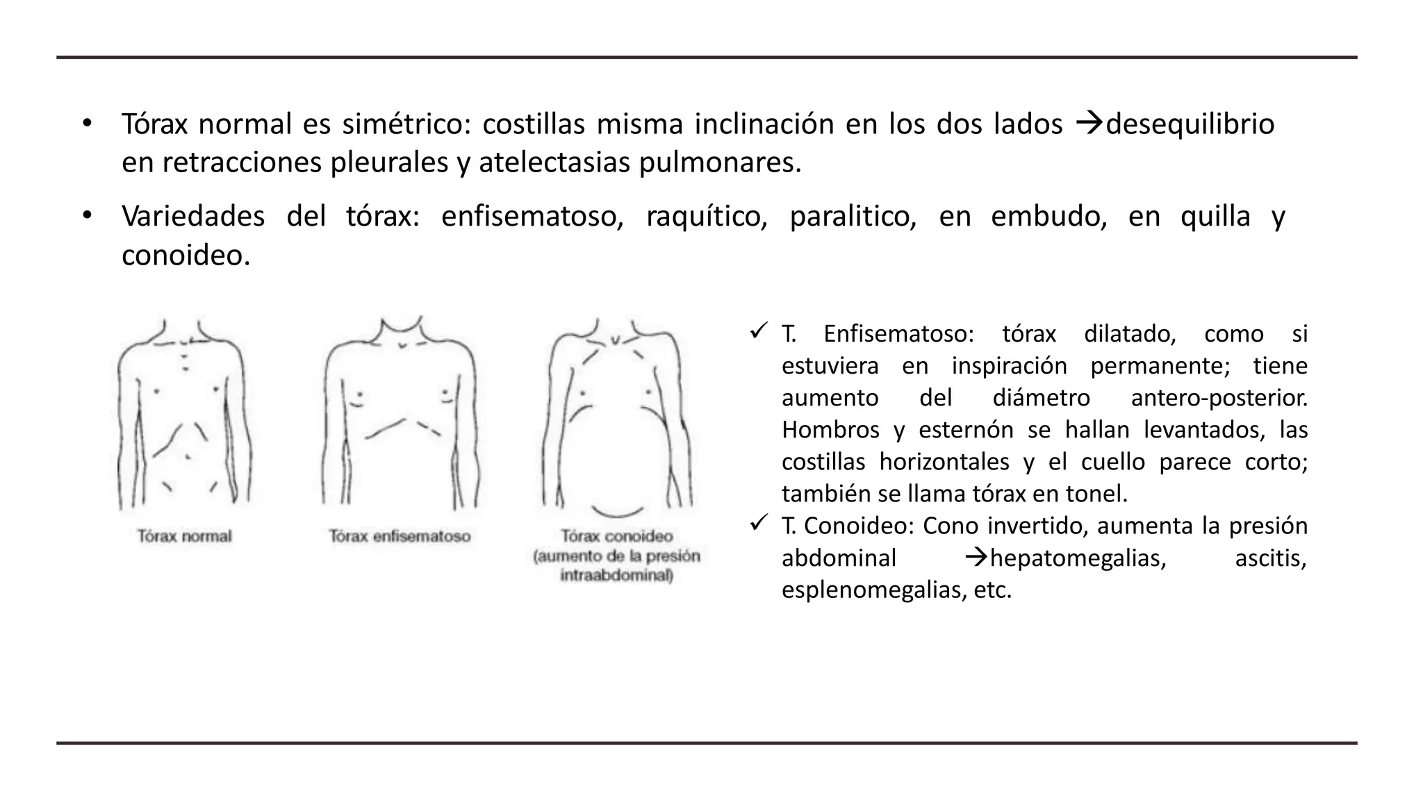 Exploración de torax.pptx