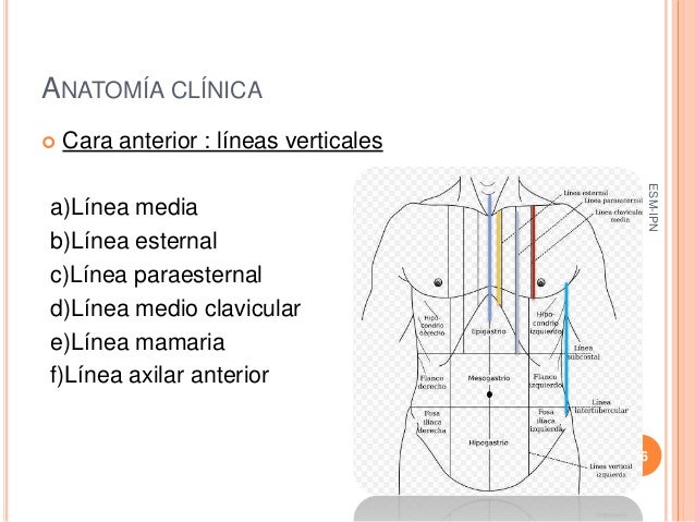 Exploración de tórax