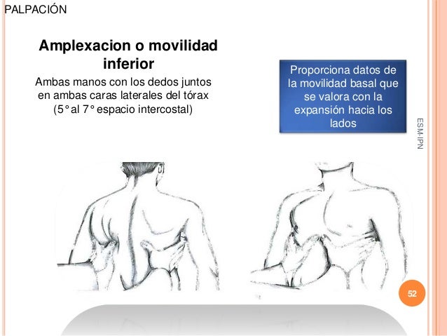 Exploración de tórax