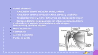 exploración fisica de hombro propedeutica 1 | PPTX