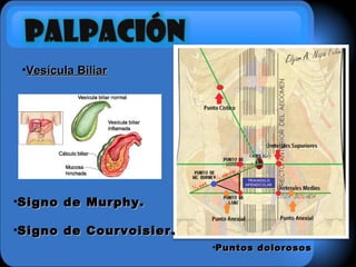 Exploración física de Abdomen | PPT