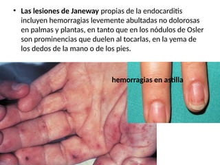 Exploración física del aparato cardiovascular.pptx