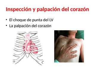 Exploración física del aparato cardiovascular.pptx
