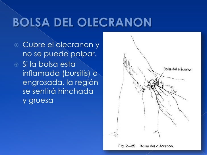 Exploración física del codo