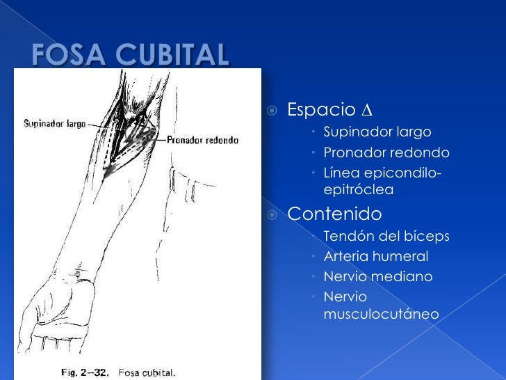 Exploración física del codo