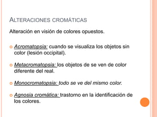Exploración de los Pares Craneales | PPTX