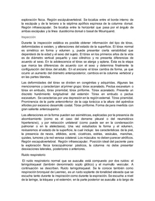 Exploración Física del Tórax | DOCX