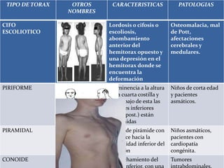 Exploración física de tórax | PPTX