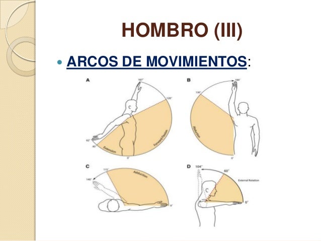Flexion Y Extension De Hombro