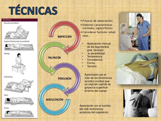 Exploración física