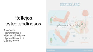Exploración neurológica.pptx