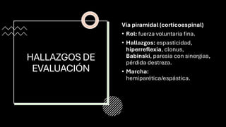 Comprehensive Neurological Examination Techniques for Kinesiology ...