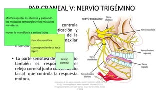 Exploración neurológica r1 guardia a y b .pptx