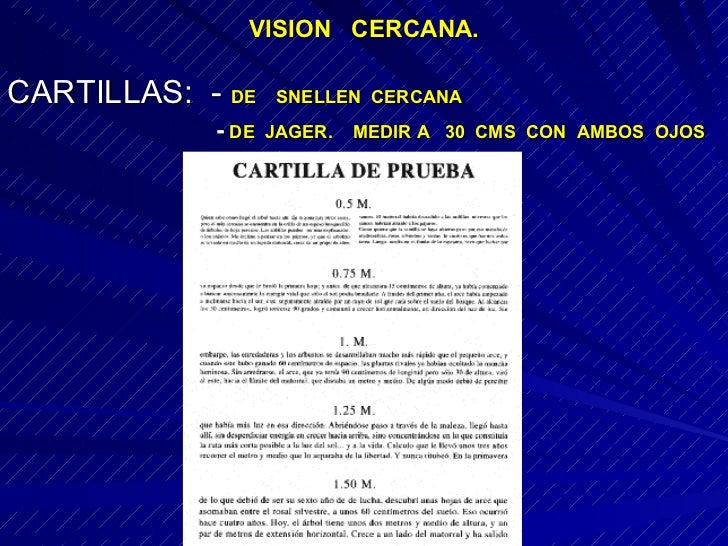 Exploración oftalmologica.