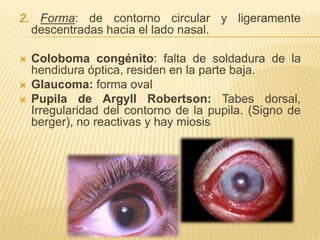 Exploración ojos, oidos, nariz, boca | PPTX