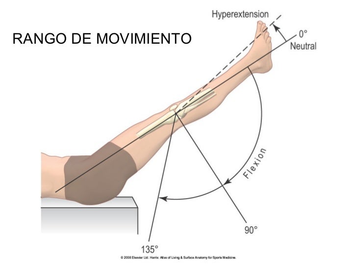 Exploración rodilla (versión reducida.hospital)