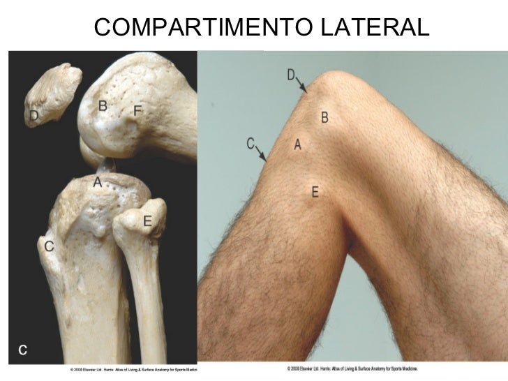 Exploración rodilla (versión reducida.hospital)