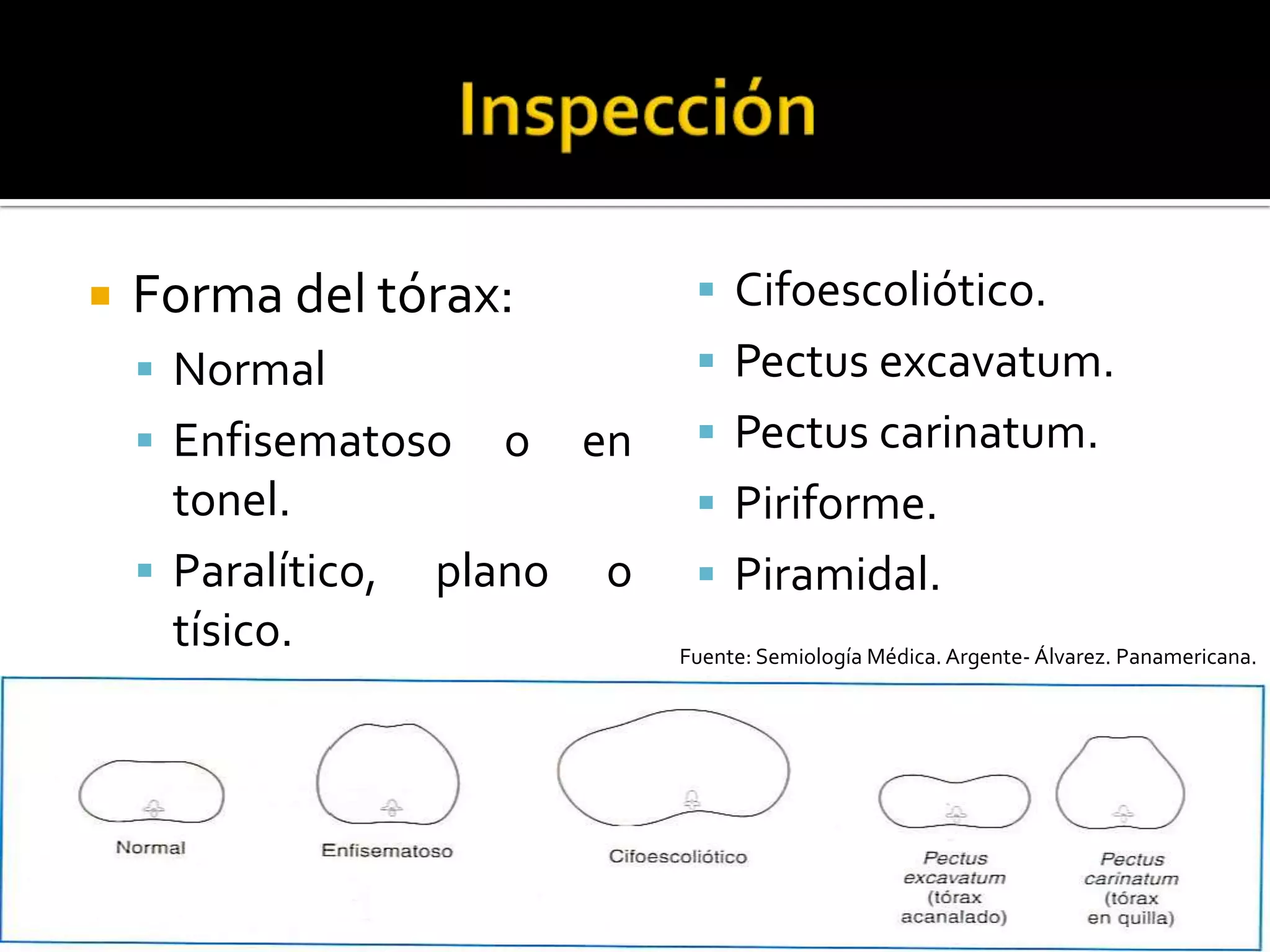 Exploración Respiratoria Normal | PPTX