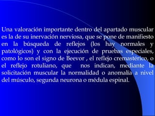Exploracion Del Aparato Locomotor | PPT