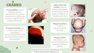 exploracion-fisica-p-211154-downloadable-2726861.pdf