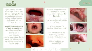 exploracion-fisica-p-211154-downloadable-2726861.pdf