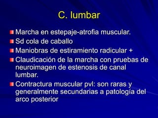 Exploracion articular para atención primaria | PPT