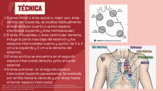Exploración cardiaca clínica propedéutica.pdf