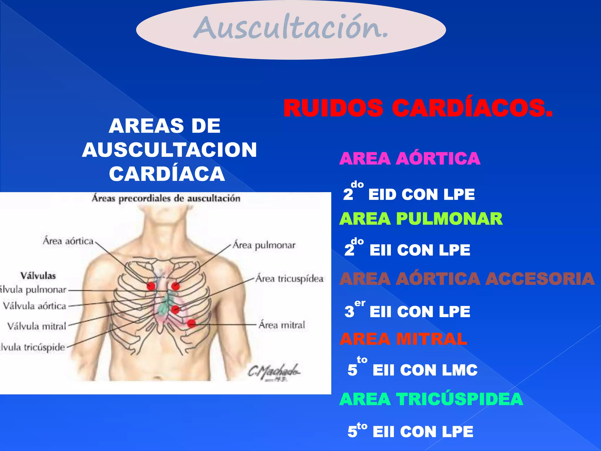 Exploracion cardiaca didactico | PPTX