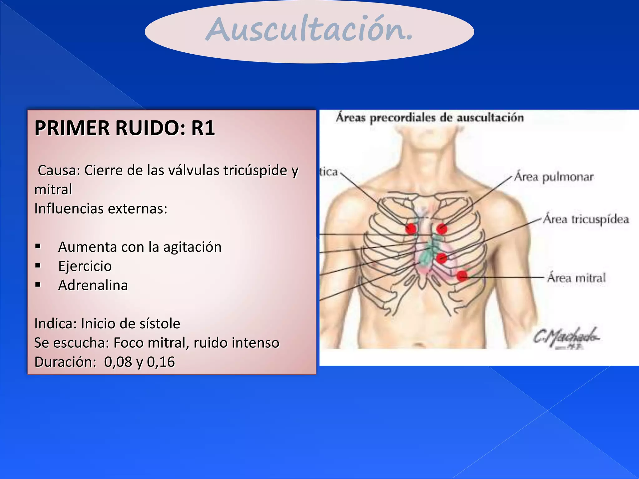 Exploracion cardiaca didactico | PPTX