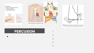 Exploración y Semiología Cardiovascular | PDF