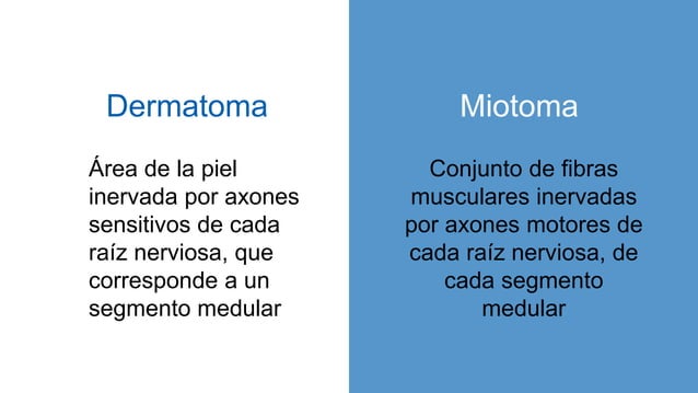Exploración Columna vertebral neurología.pptx