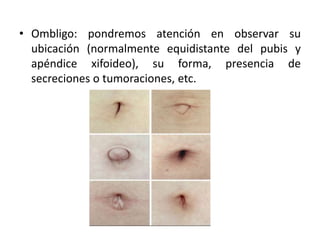 Exploracion de abdomen | PPTX