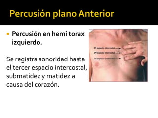 Exploracion de aparatorespiratorio | PPTX