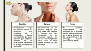 Exploracion de cabeza y cuello | PPTX